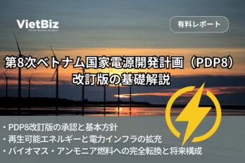 VietBiz 有料レポート販売サイト